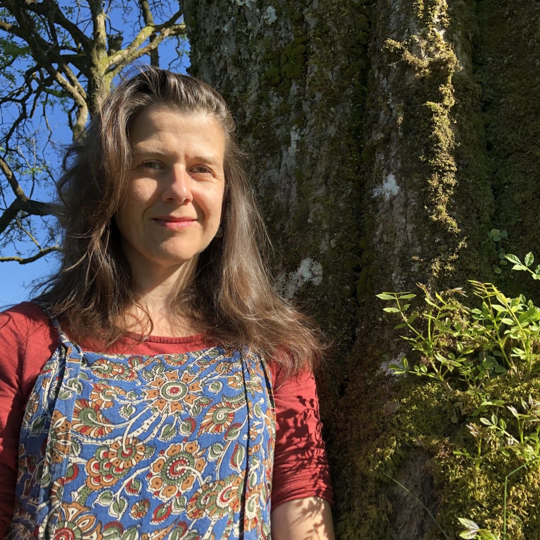 Shute Festival - Marine Theatre